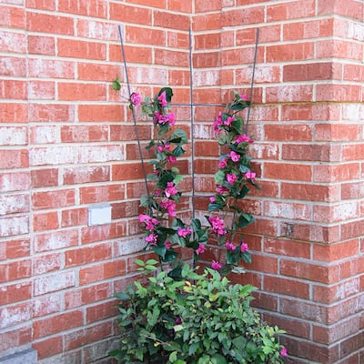 Metal - Garden Trellises - Trellises - The Home Depot