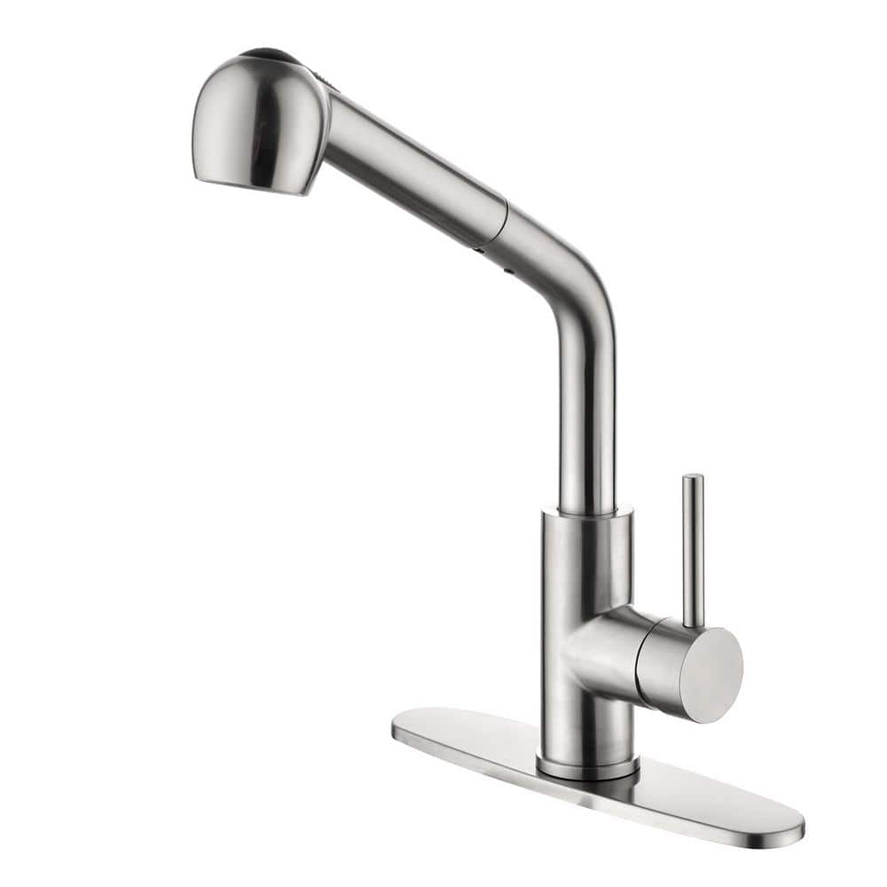 WELLFOR Single Handle Pull Out Sprayer Kitchen Faucet with Deckplate ...