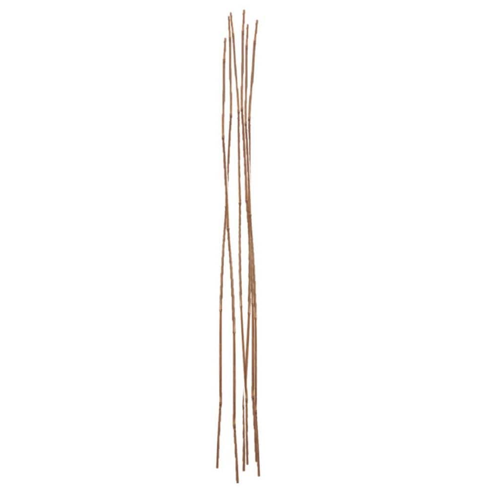 Vigoro 4 ft. Bamboo Stakes 6-Pack 84181HD - The Home Depot