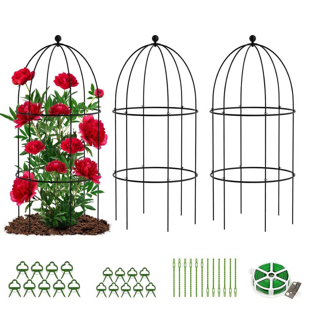 ABORON Birdcage Style Plant Support 31.5 in. Sturdy Grow Through Steel ...
