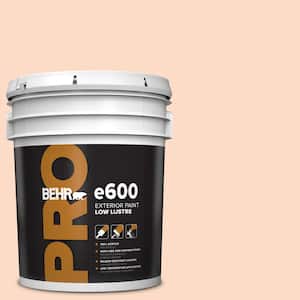 BEHR PRO 1 gal. #250C-2 Sugared Peach Low Luster Exterior Paint PR62001 ...