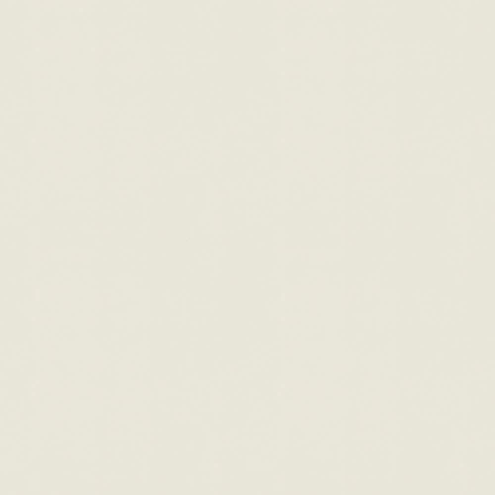 FORMICA 5 ft. x 12 ft. Laminate Sheet in Neutral Weft with Matte Finish ...