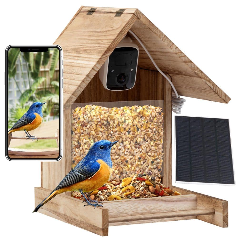 COZIWOW Wooden Wild Smart Bird Feeder with Camera 1080P HD Solar ...