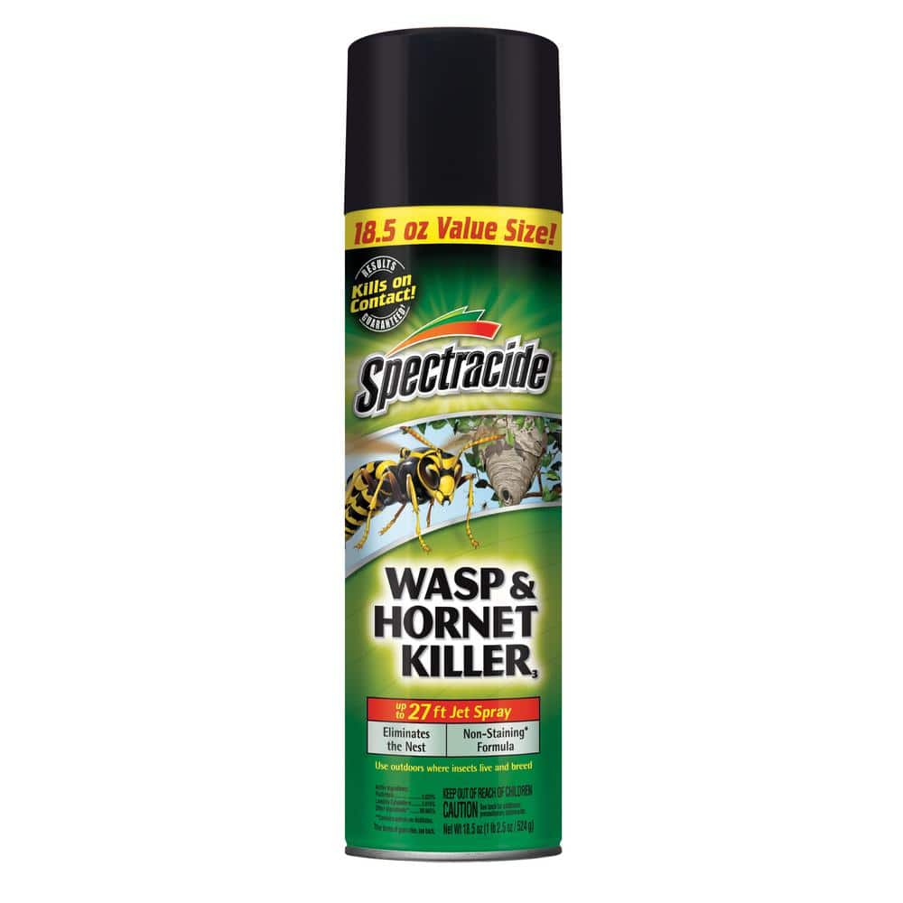 Spectracide 18.5 oz. Wasp and Hornet Killer Aerosol Spray (Insect ...