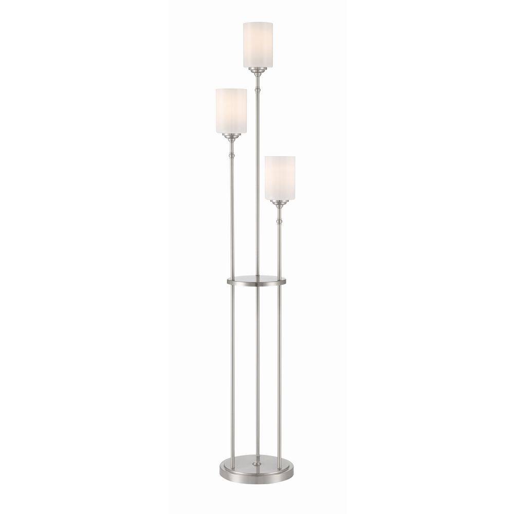 Hampton Bay Ayelen 59 in. Brushed Nickel Floor Lamp with Frosted Glass ...