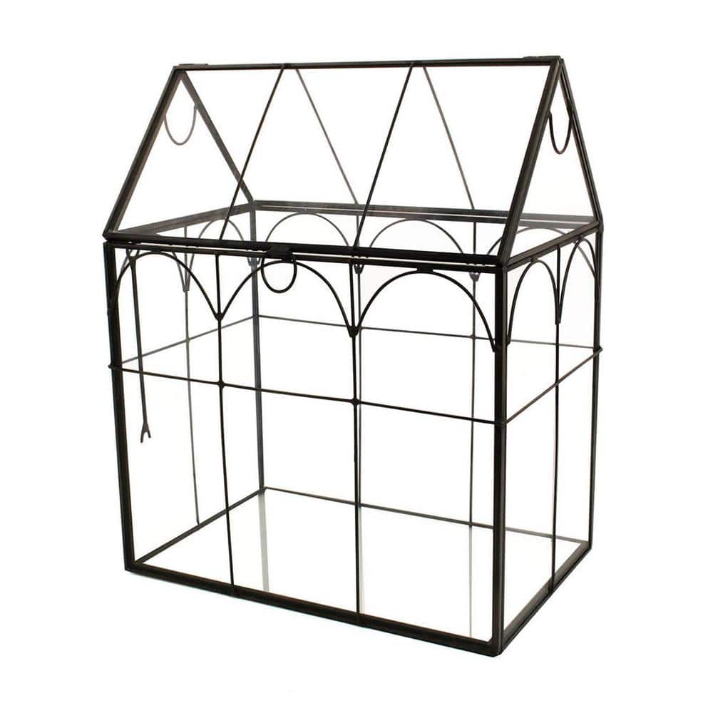 FAWEY TRED INC 7 in. x 9 in. Black Metal and Glass Terrarium TG10033 ...