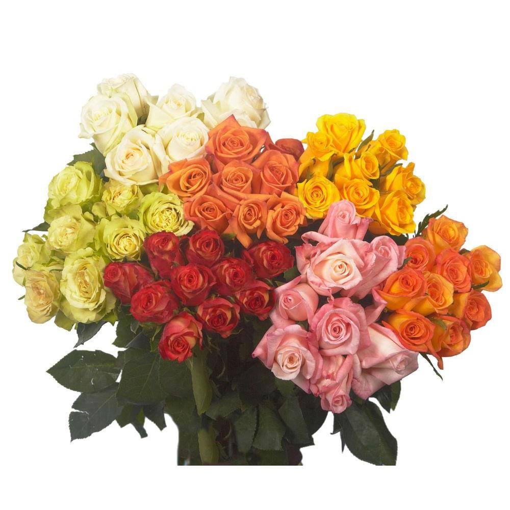 Globalrose Fresh Assorted Color Valentine's Day Roses (50 Stems)-50 ...