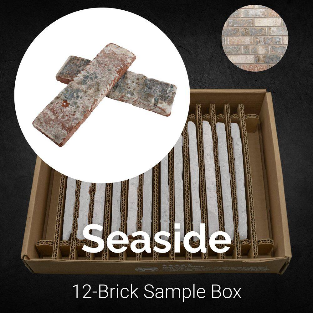 Old Mill Brick Sample Box Seaside Thin Brick 7.625 in. x 2.25 in. x 0.5 ...