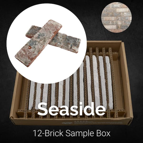 Old Mill Brick Sample Box Venetian Thin Brick 7.625 in. x 2.25 in. x 0. ...