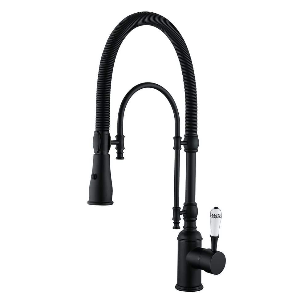 FLG Single Handle Pull Down Sprayer Kitchen Sink Faucet with 360° Spout ...