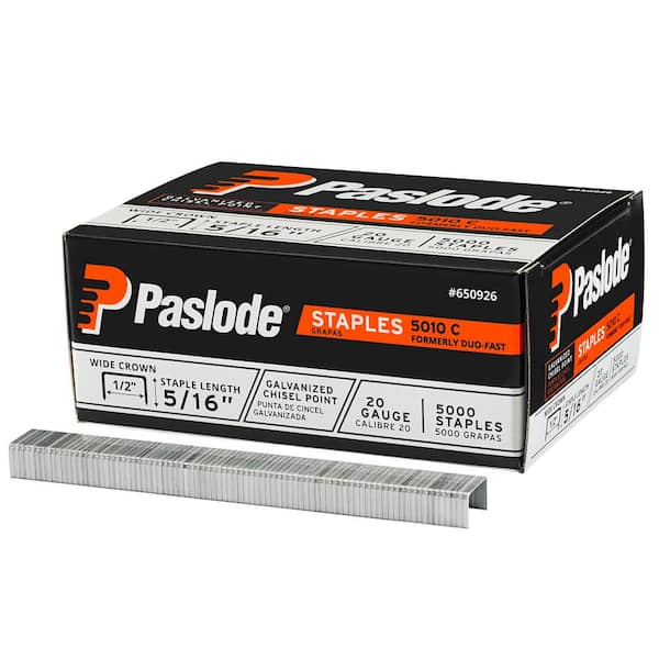 Paslode 5010C 1/2 in. W Crown 5/16 in. Leg 20-Gauge Galvanized Steel Staple (5000-Pack Per Box ...