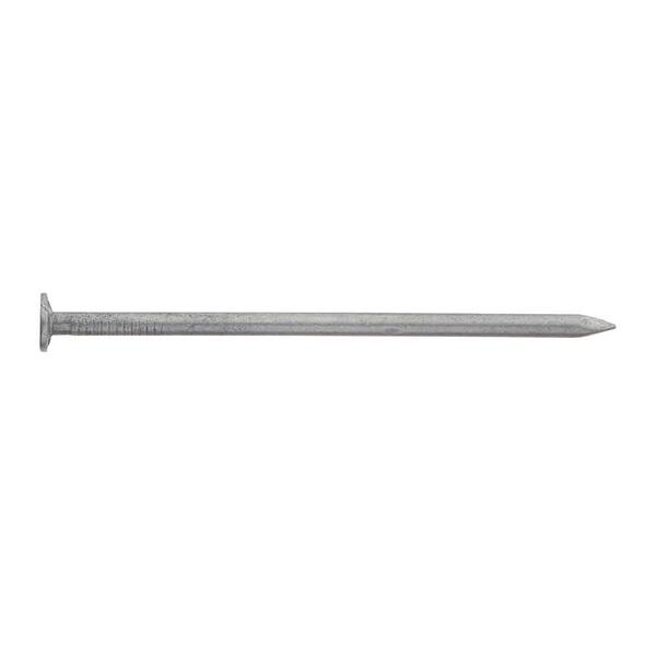 Everbilt 3 in. x 10D Hot Dipped Galvanized Common Nails 1 lb. (59-Count ...