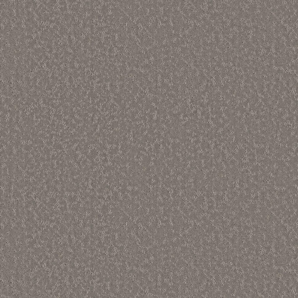 Lifeproof 8 in. x 8 in. Pattern Carpet Sample - Wingate -Color Pewter ...