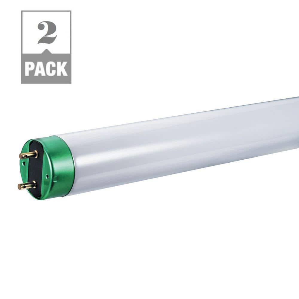 Philips 32-Watt 48 in. Linear T8 Fluorescent Tube Light Bulb Daylight ...