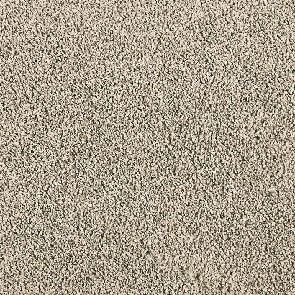TrafficMaster Whisk and Whimsy I-Cumulus-Gray 25 oz. Polyester Textured ...