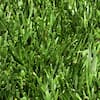 Harmony 500 sq. ft. Fescue Sod (1-Pallet) HH500F1 - The Home Depot