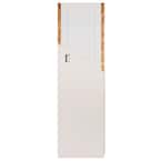 DRICORE SMARTWALL 4 in. x 2 ft. x 8 ft. All-in-One Wall Panel FG10019 ...