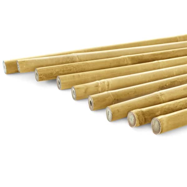 Ecostake 8 ft. x 1 in. Natural Bamboo Garden Plant Stakes for Climbing ...