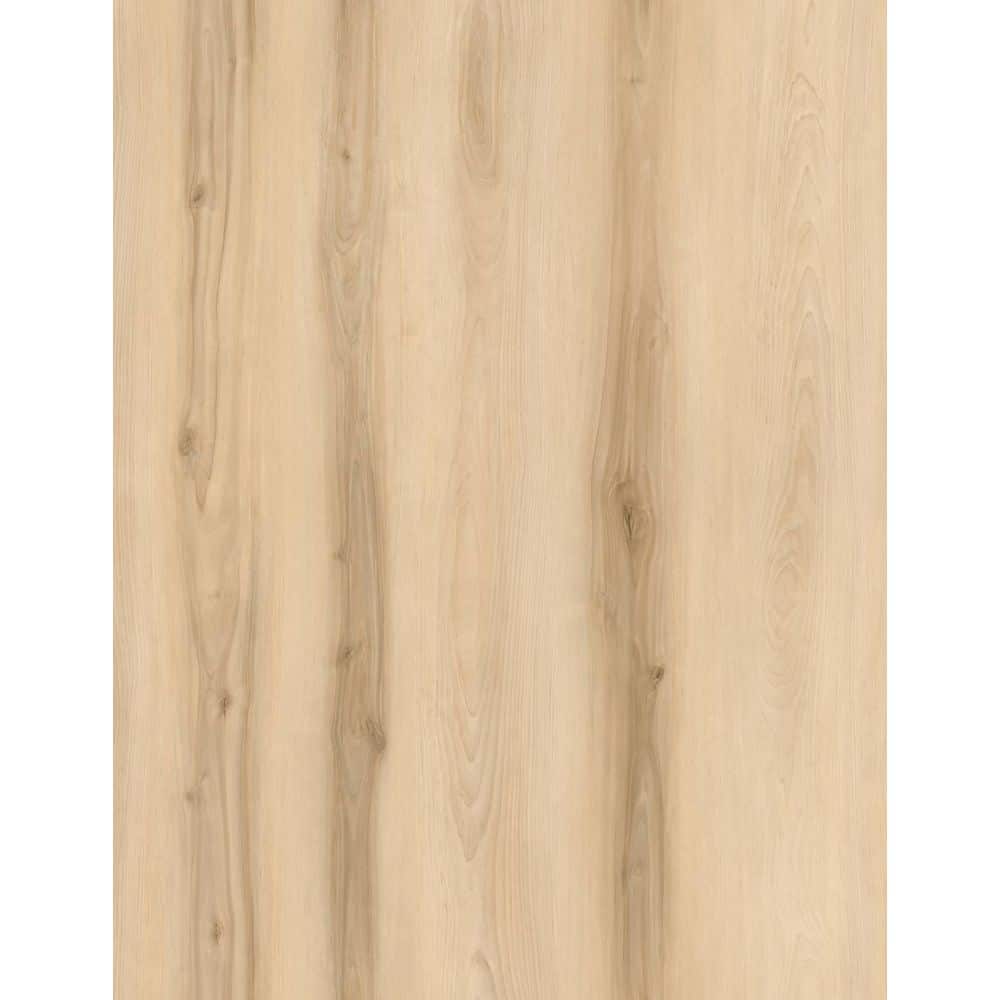 Home Decorators Collection Hemlock Hickory 20 MIL x 7 in. W x 60 in. L ...