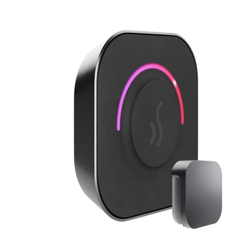 Mr. Steam TempoTouch Steam Shower Control and Steamhead in Satin Steel ...