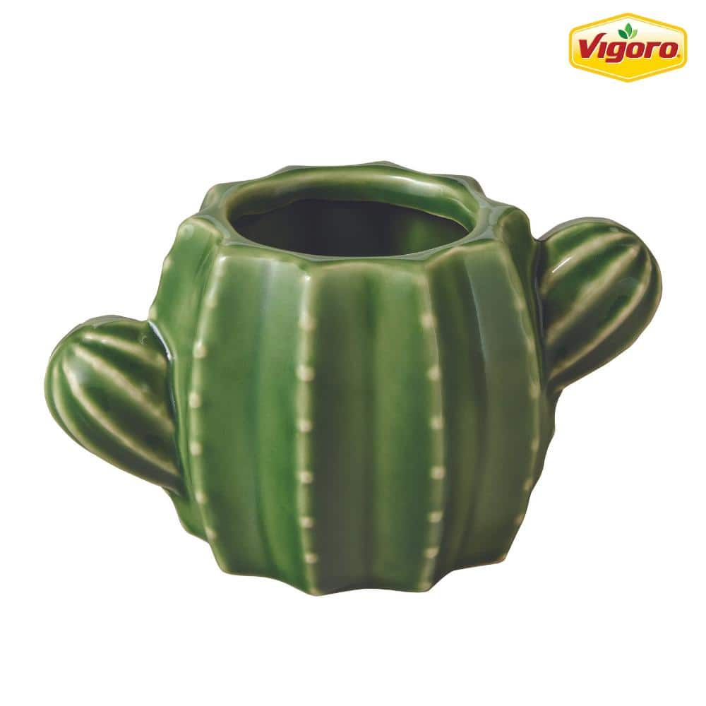 Vigoro 6.7 in. Raker Cactus Small Green Ceramic Pot (6.7 in. D x 3.7 in ...