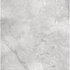 ELIANE Maxi Silver Gray 24 in. x 48 in. Polished Porcelain Stone Look ...