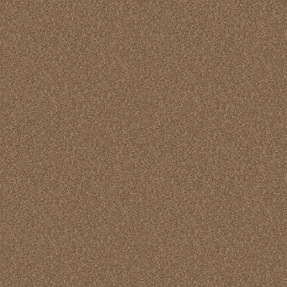 Reviews for TrafficMaster Alpine - Sophistication - Brown 17.3 oz ...
