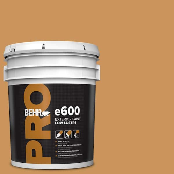 BEHR PRO 5 gal. #M250-5 Burnt Pumpkin Low Luster Exterior Paint PR62305 ...