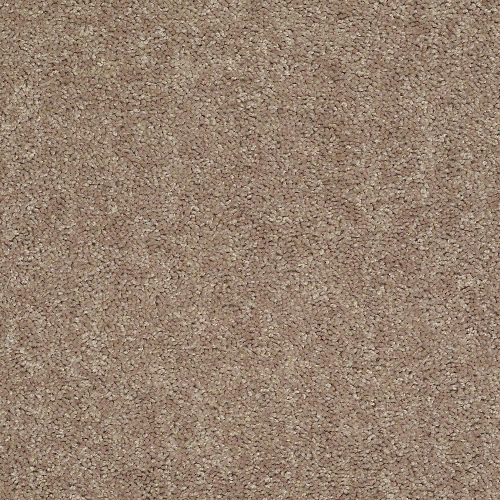 TrafficMaster 8 in. x 8 in. Texture Carpet Sample - Alpine - Color ...