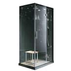 Steam Planet Jupiter Plus 43 in. x 31 in. x 86 in. Steam Shower ...