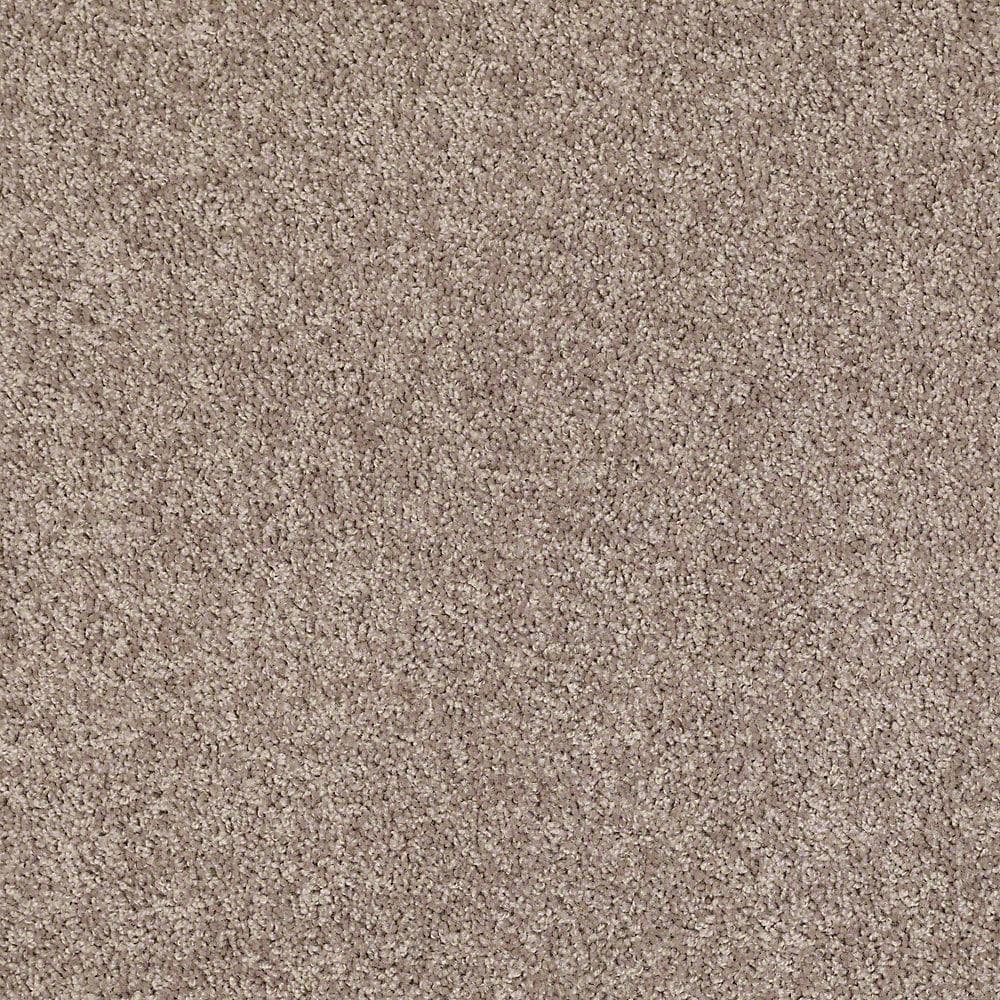TrafficMaster 8 in. x 8 in. Texture Carpet Sample - Palmdale I - Color ...