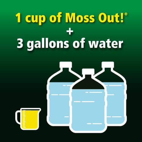 Moss Out! 1 gal. 2,000 sq. ft. Lawn Moss Killer Concentrate 100099156 ...