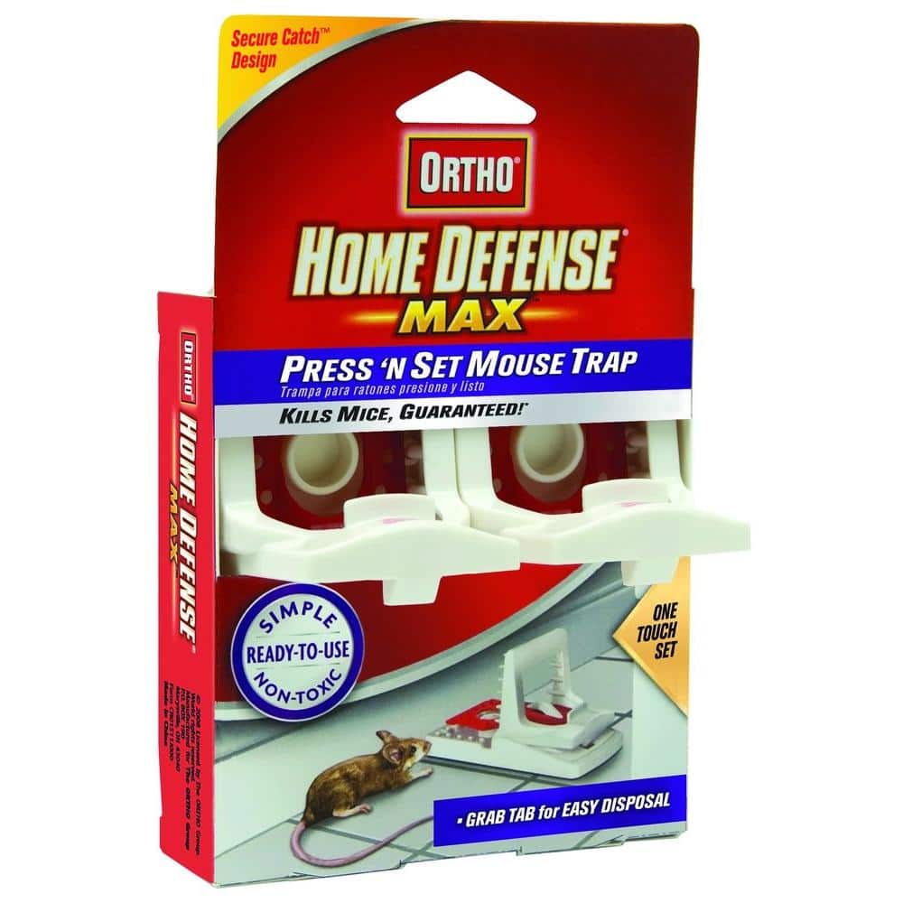 Home Depot Mouse Trap
