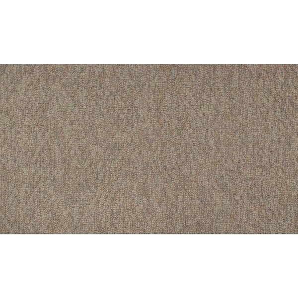 TrafficMaster 8 in. x 8 in. Pattern Loop Carpet Sample - Lanwick ...