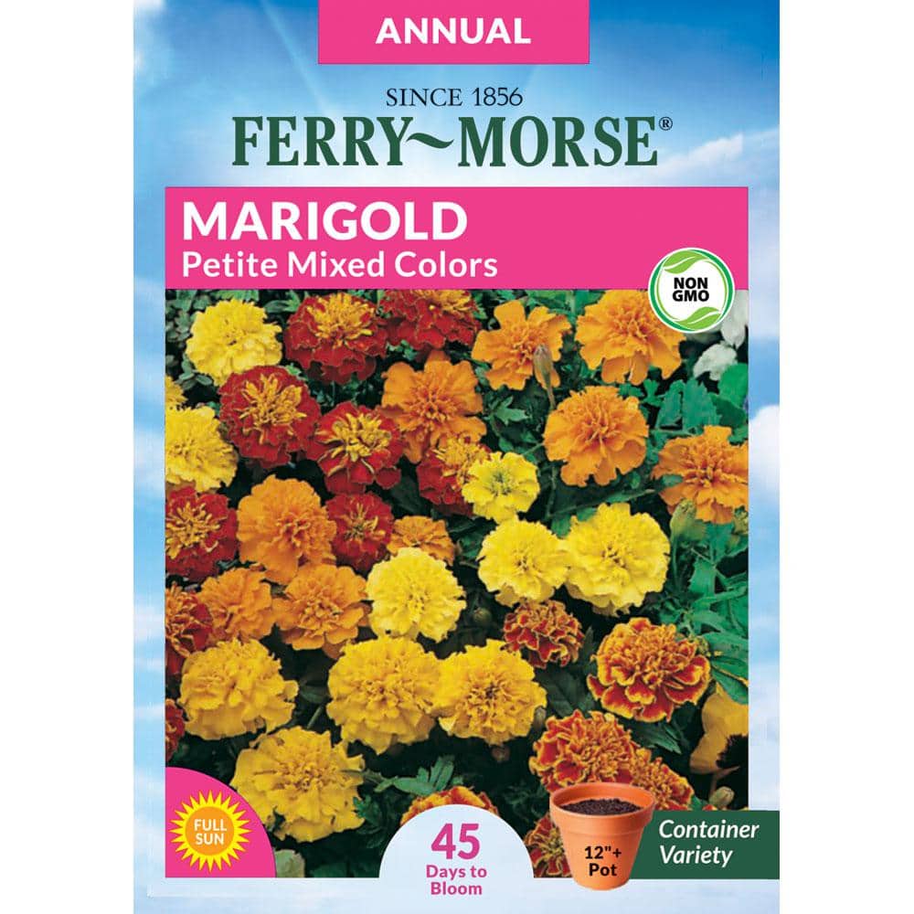 Ferry-Morse Marigold French Double Dwarf Flower Seed 6020 - The Home Depot