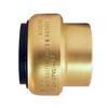 Tectite 1 in. Brass Push-to-Connect Cap FSBCAP1 - The Home Depot