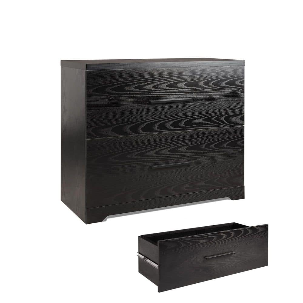 STICKON Black File Cabinet with 2-Drawers HYM-HD04282616 - The Home Depot