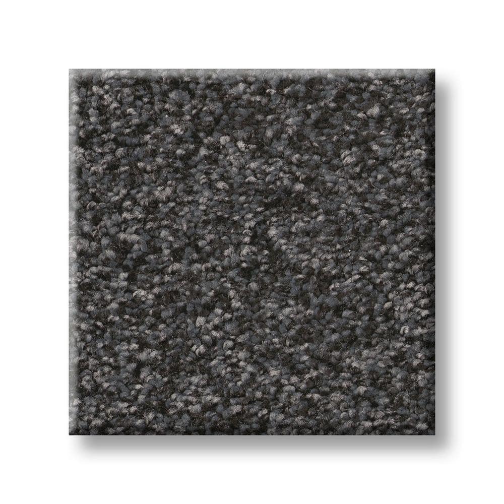 Lifeproof 8 in. x 8 in. Texture Carpet Sample - Rosemary I -Color ...