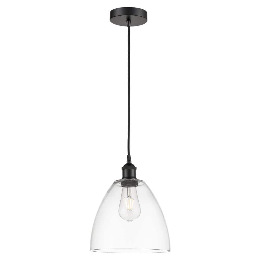Innovations Edison Dome 60-Watt 1-Light Matte Black Standard Mini ...