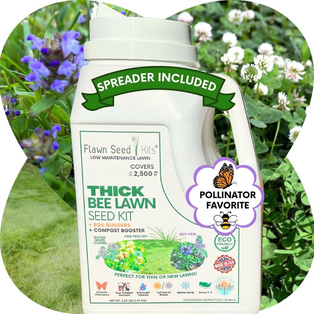 Flawn Seed Kits Thick Bee Flower Lawn Seed, Easy Spread Shaker, Low Mnt ...