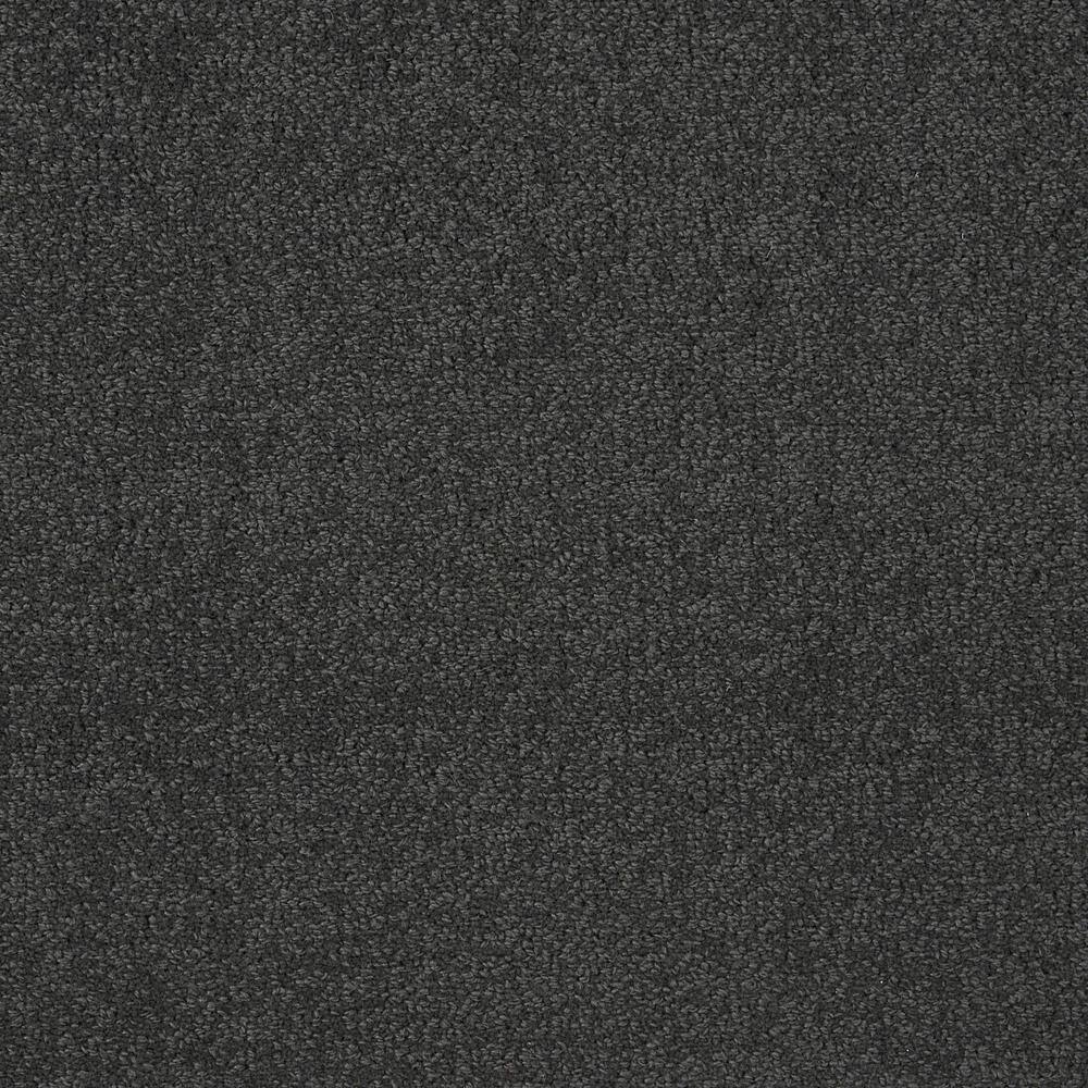 Natural Harmony 6 in. x 6 in. Texture Carpet Sample - Feather - Color ...
