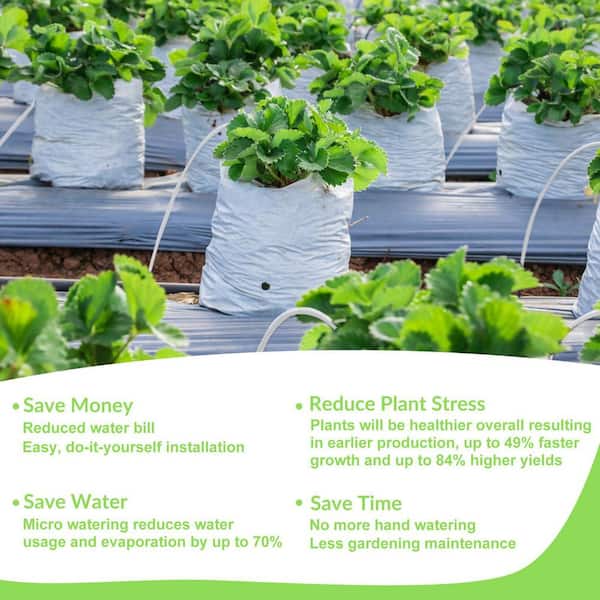 Oyezvary 2 Rolls 1/4 in. Drip Irrigation Tubing, 200 ft. Total ...