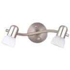 Jasper 15 in. 2-Light Brushed Pewter Track Lighting Fixture with ...