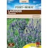 Ferry-Morse Lavender Dwarf Munstead Seed X7343 - The Home Depot