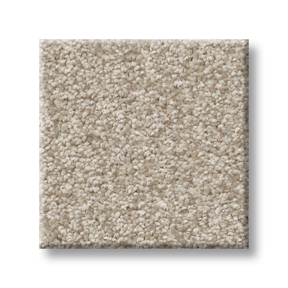 Lifeproof 8 in. x 8 in. Texture Carpet Sample - Rosemary I -Color ...