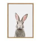 Kate and Laurel 24 in. x 18 in. "Rabbit" by Tai Prints Framed Canvas ...