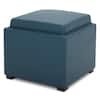 Spruce & Spring Riley 18 in. Wide Leather Contemporary Square Storage ...