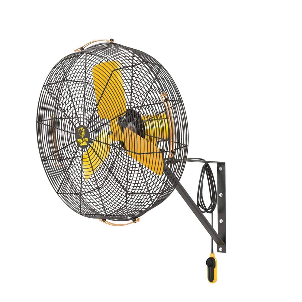 Big Ass Fans AirEye 24in. Variable Fan Speed Silver/Yellow Indoor ...