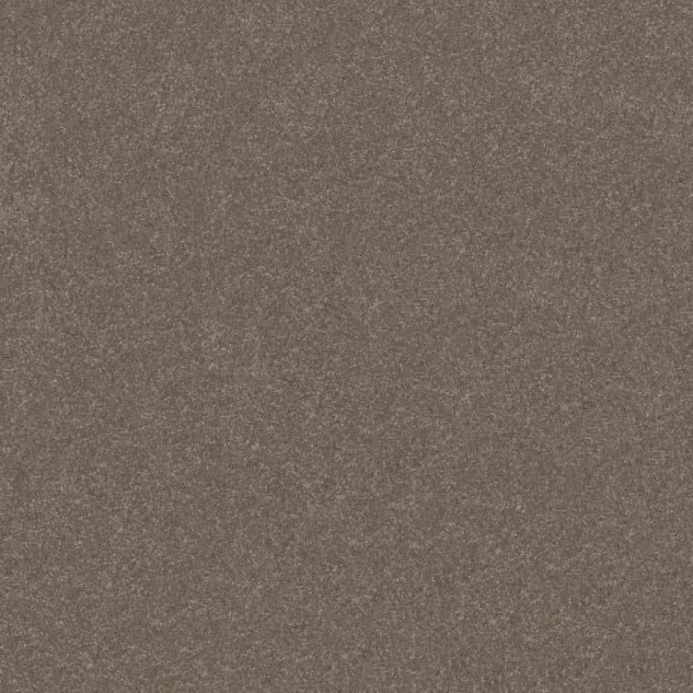 Home Decorators Collection 8 in. x 8 in. Texture Carpet Sample - House ...