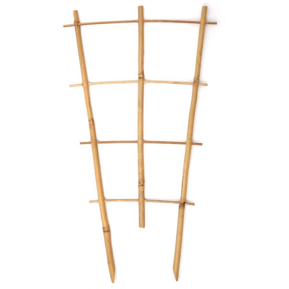 SenQWFa 16 Inch Bamboo Fan Shaped Trellis Small Indoor Plant Support ...